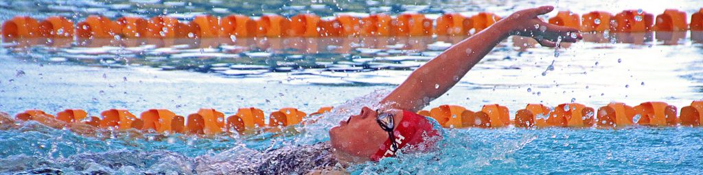 Membership - Bayside Swimming Club Melbourne